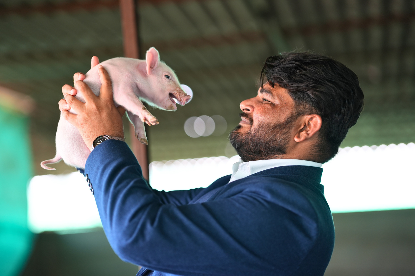 Home | Swastik Pig Farm